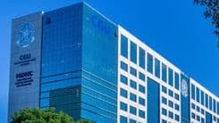 Maconha roxa: o que é e quais são seus efeitos?